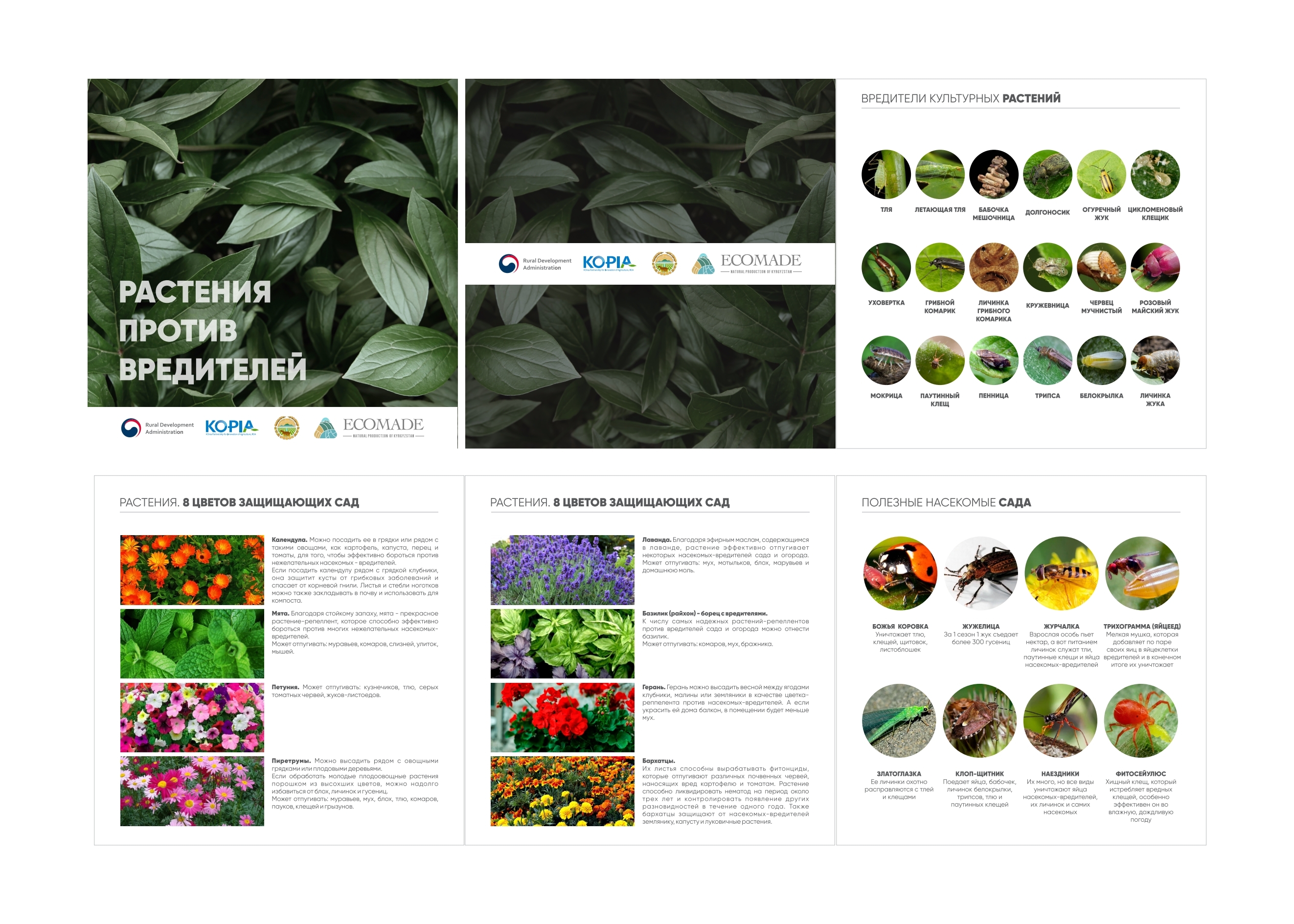 농촌진흥청 KOPIA